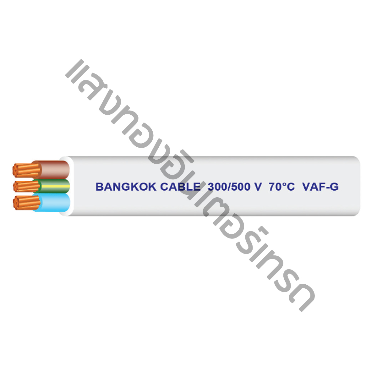 สายไฟ BCC รุ่น VAF-GRD (2 Core With Ground) | แสงทองอินเตอร์เทรด