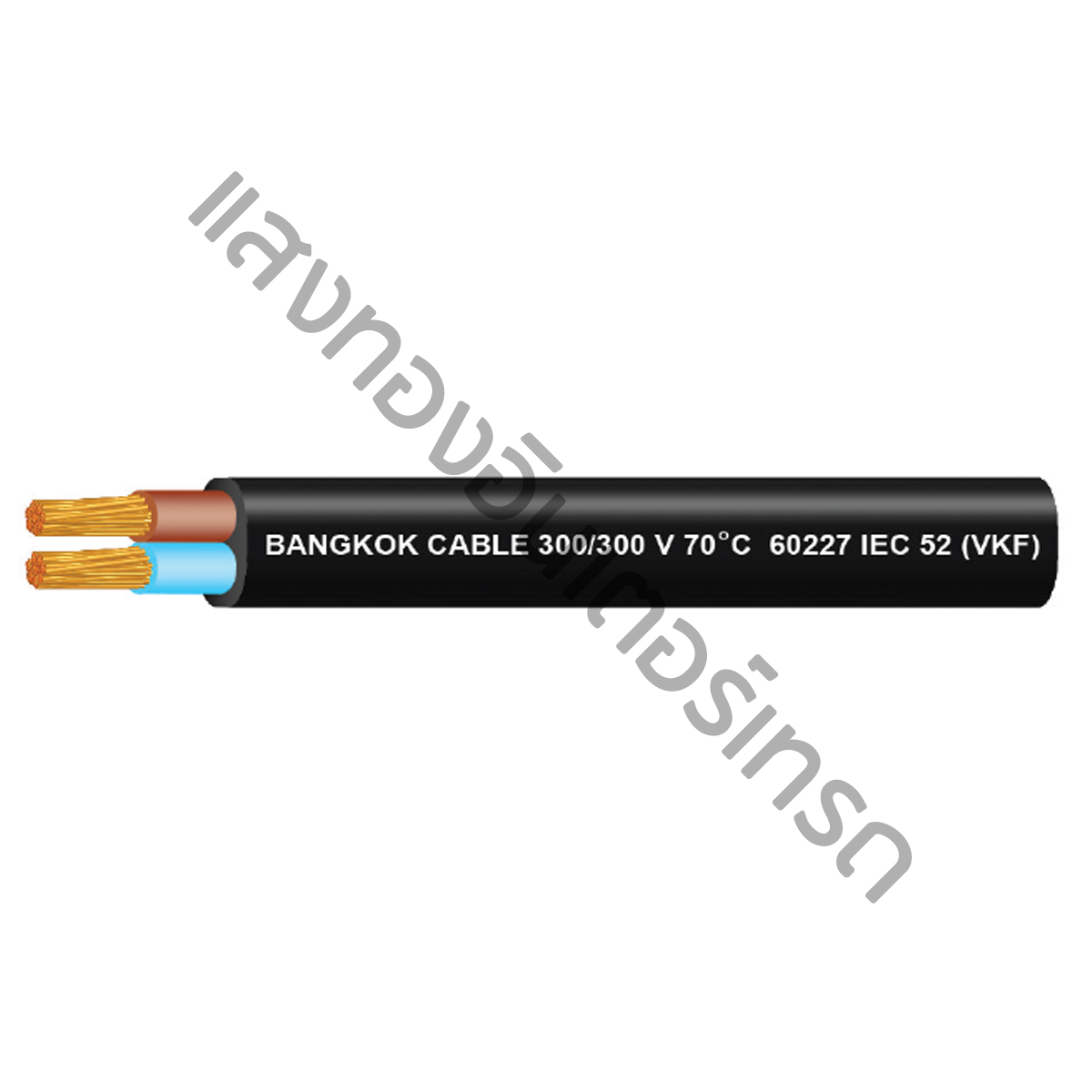 สายไฟ BCC รุ่น VKF ( 2 Core ) 100 เมตร | แสงทองอินเตอร์เทรด